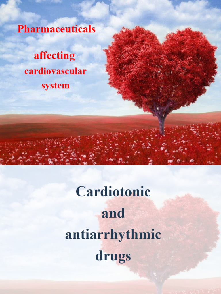 Cardiotonic & Antiarrhythmic Drugs | PDF | Heart | Cardiac Muscle