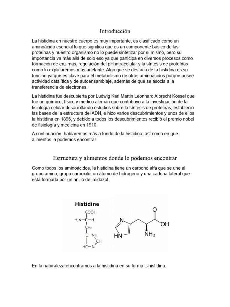 Importancia y Estructura de la Histidina | PDF | Aminoácidos | Proteínas