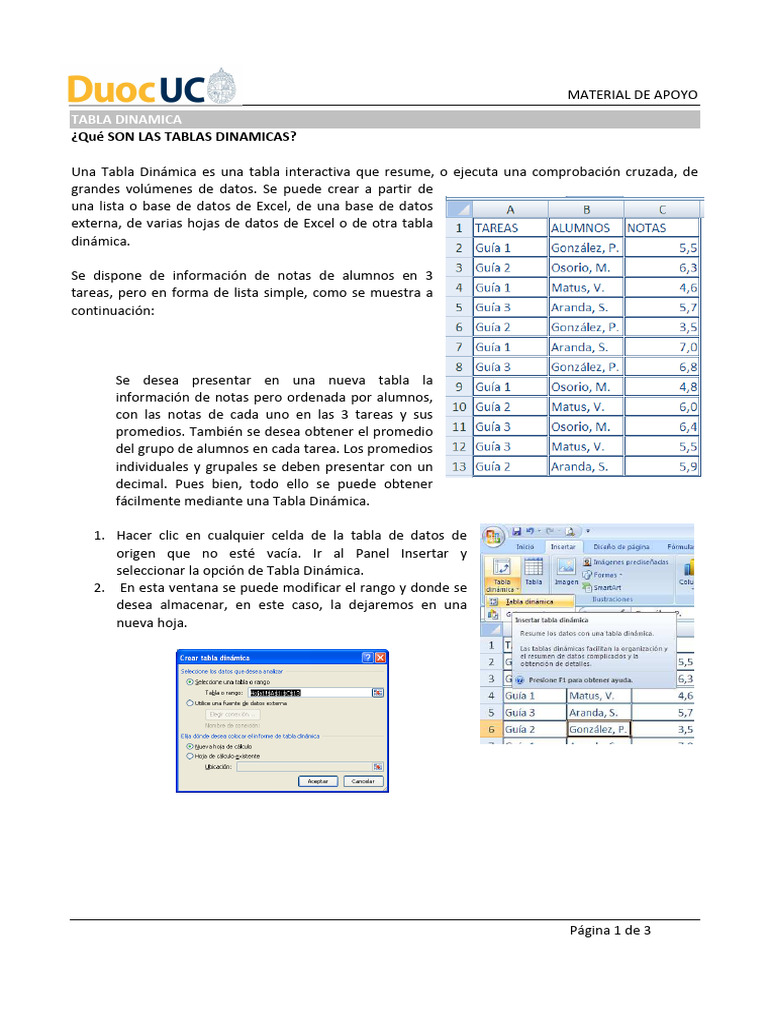 Guía de Tablas Dinámicas en Excel | PDF | Microsoft Excel | Bases de datos