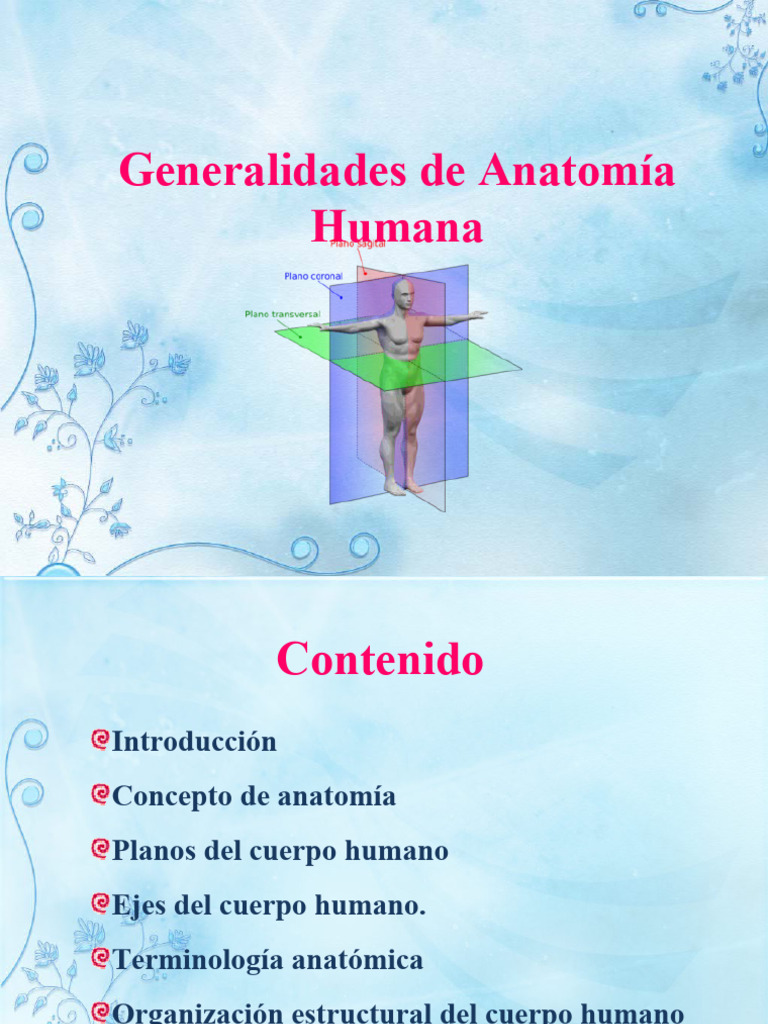 Generalidades Anatomia Humana Enfermeria | PDF | Términos anatómicos de ubicación | Anatomía