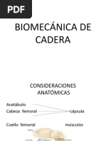 Linea de Feiss, Linea de Helbing | PDF | Pie | Anatomía humana