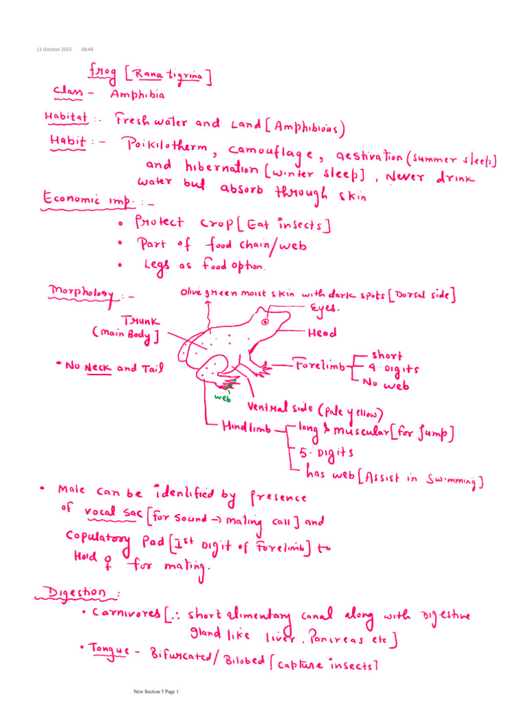 Frog and Cockroach | PDF