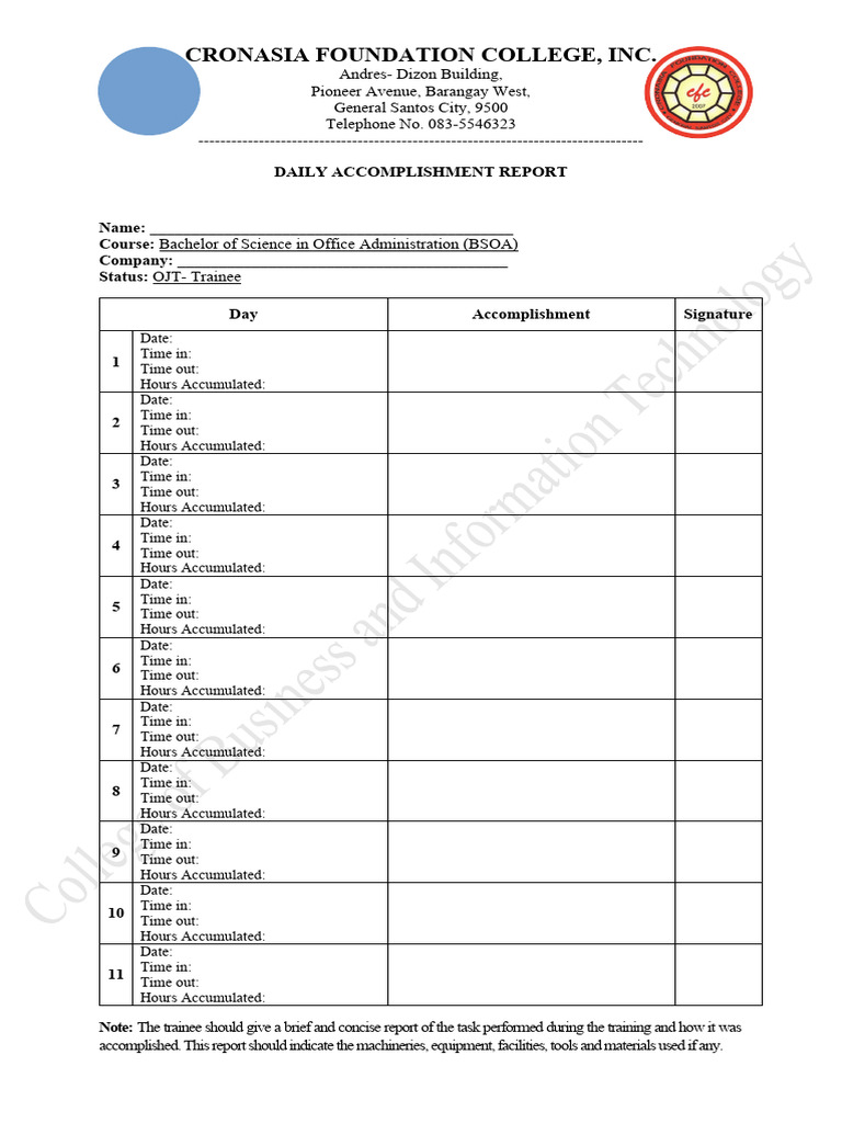 Daily Accomplishment Report | PDF