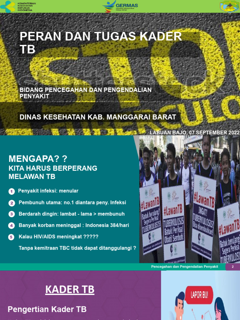 Introduction To Tuberculosis 508c | PDF