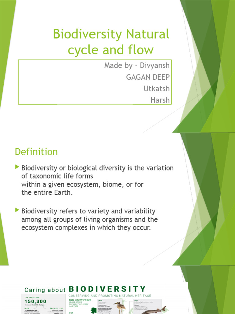 Biodiversity Natural Cycle and Flow (Autosaved) .PPTM | PDF