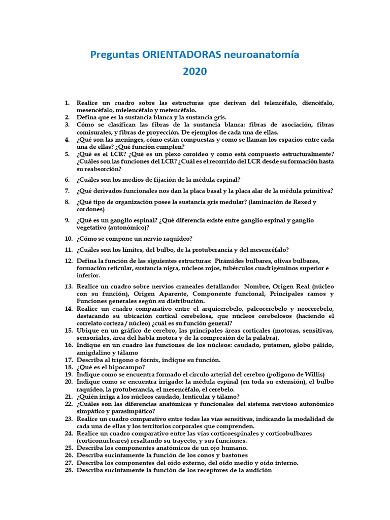 2 Preguntas Orientadoras de Neuroanatomia | PDF | Cerebro | Neurociencia
