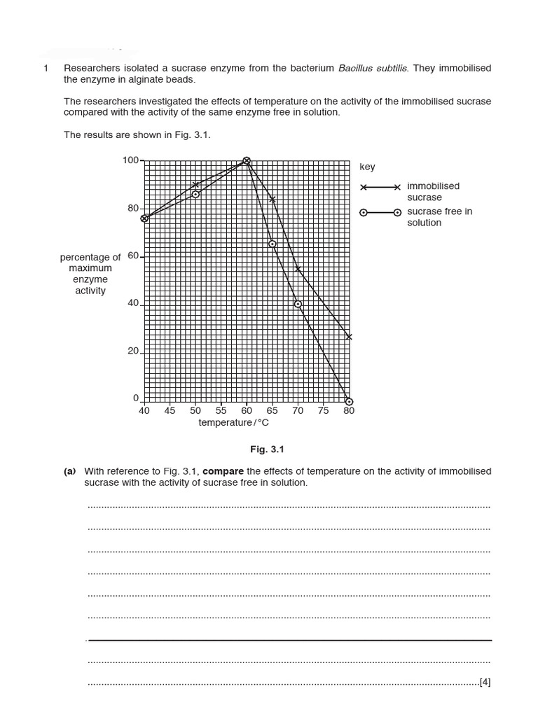 Enzymes Worksheet | PDF | Active Site | Enzyme