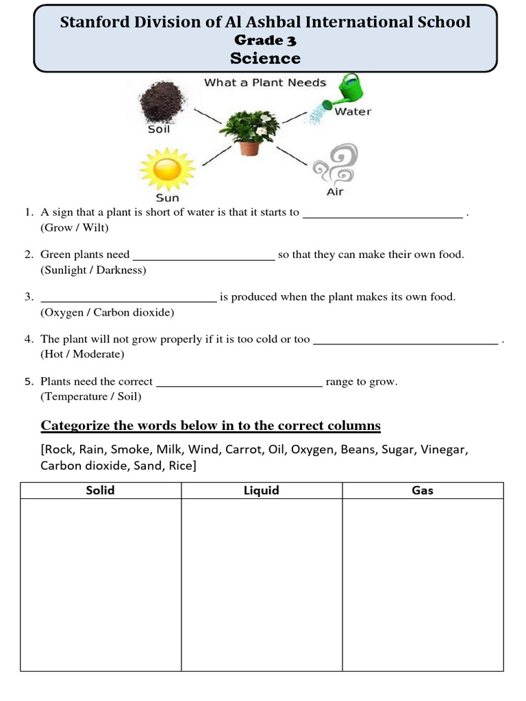 Holiday Homework - Science - 3 | PDF