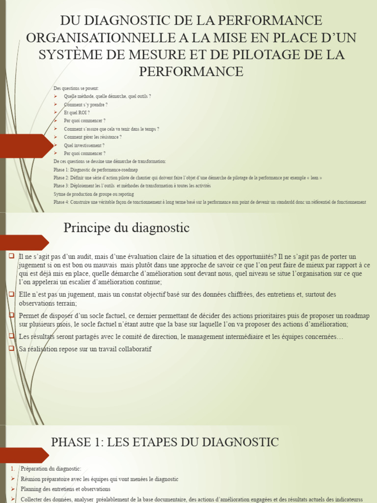 Du Diagnostic de La Performance A La Mise en Place D'un Systeme de Mesure Et de Pilotage de La ...