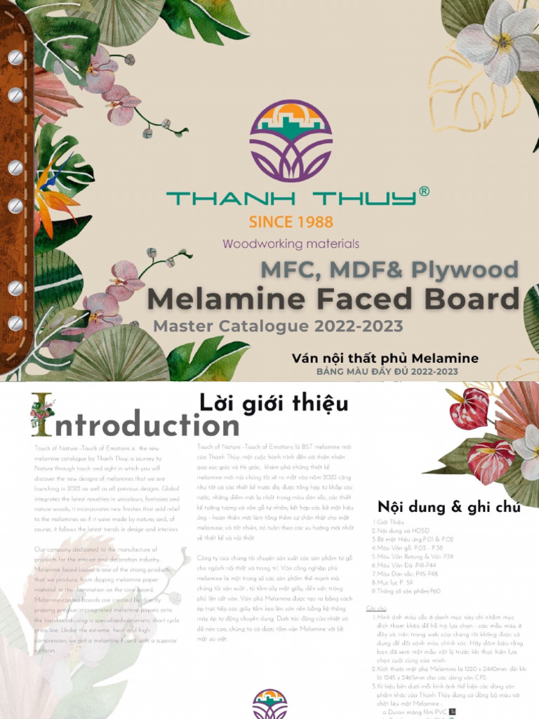 Thanh Thuy MELAMINE E -CTL ver11.2022 | PDF