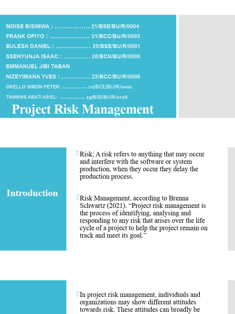 Project Risk Management in IT Project Management | PDF | System | Evolution