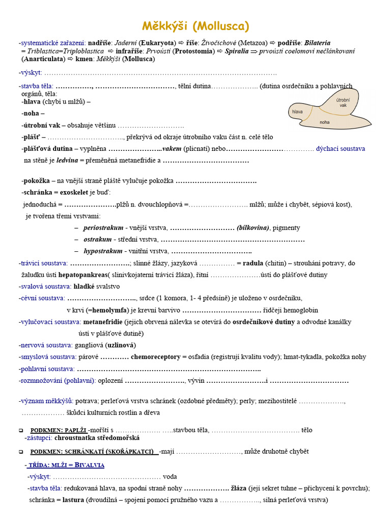 07 - PL - Mekkysi (Mollusca) | PDF