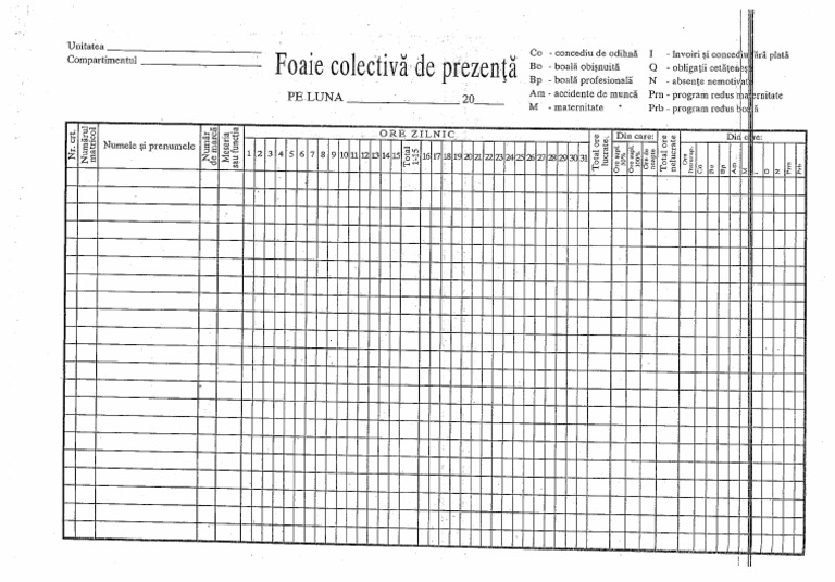 Pontaj - PDF Versiunea 1 | PDF
