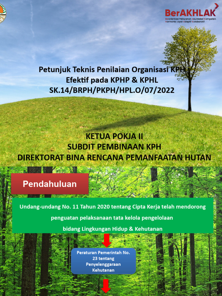 Penilaian KPH Efektif di Indonesia | PDF