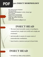 Insects Identification Key PDF | PDF | Fly | Insects