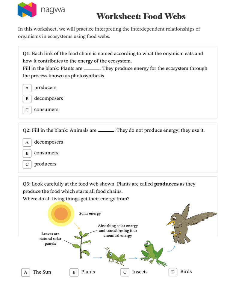 Worksheet - Food Webs - Nagwa | PDF | Food Web | Mouse