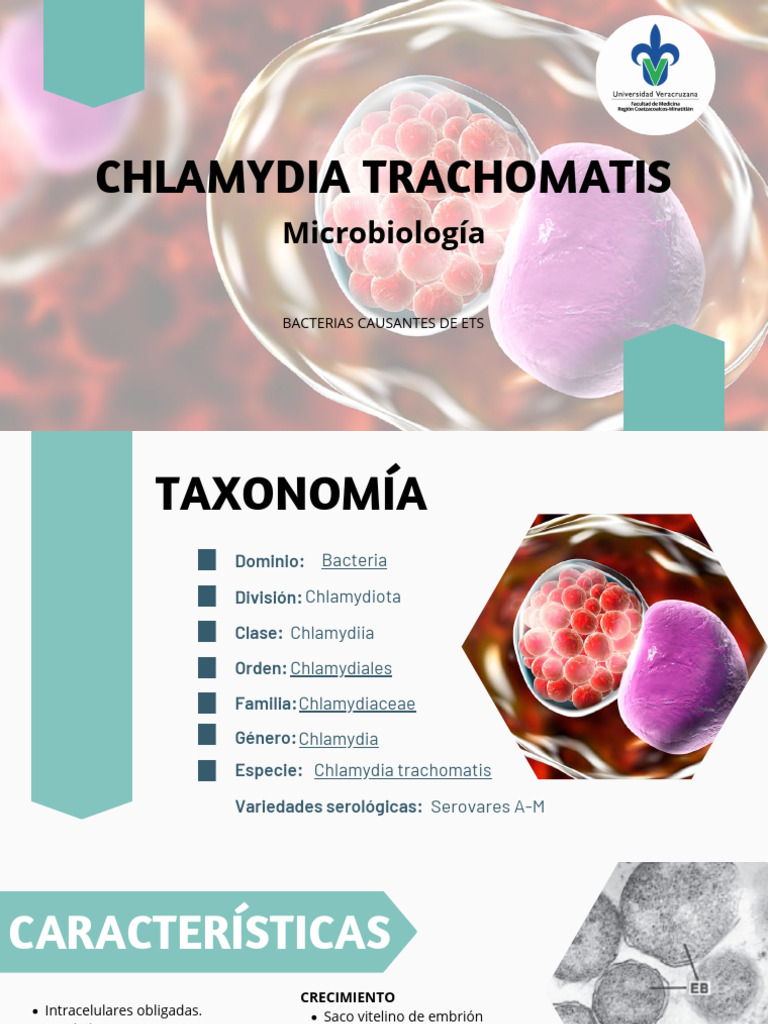 Chlamydia Trachomatis | PDF | Biología Celular) | Citoplasma