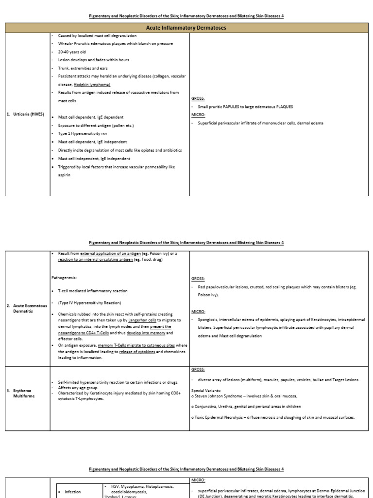 Acute Inflammatory Dermatoses 4 Pdf Skin Epidermis