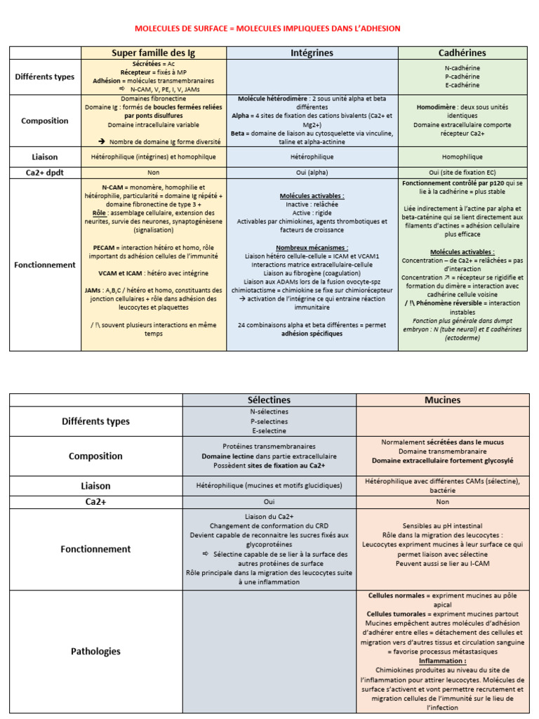 Molécules d'adhésion et leur rôle | PDF | Intégrine | Inflammation