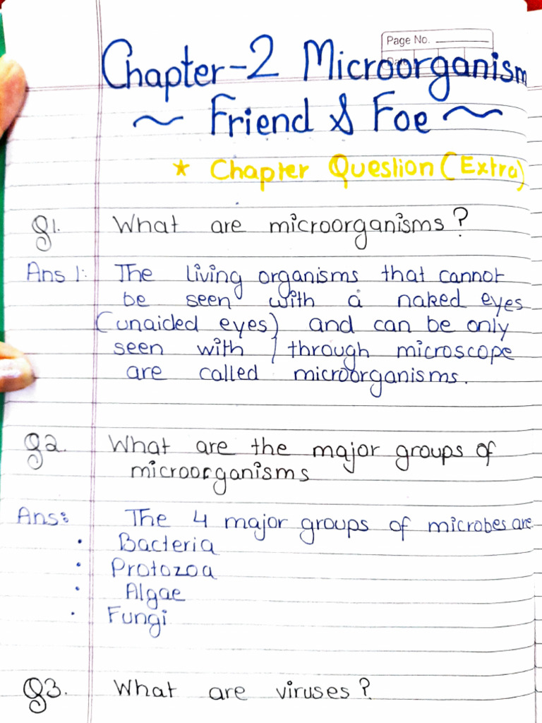 SCIENCE Ch-2 Microorganisms Notebook Work - Devyani - 8C | PDF ...