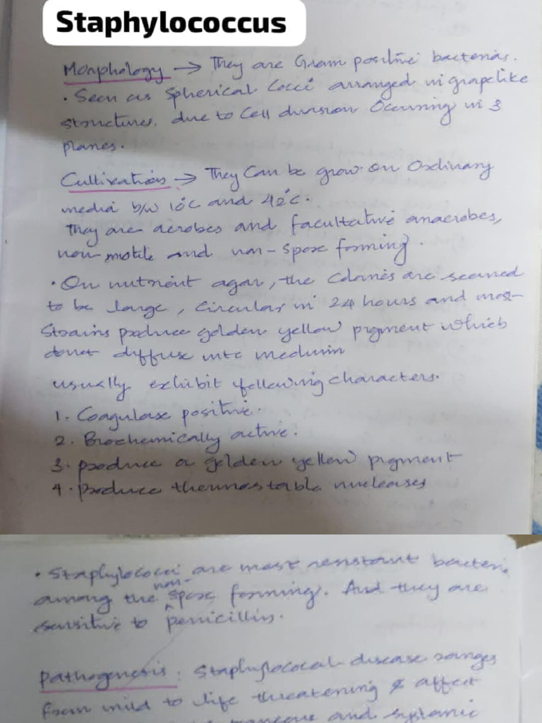 BACT ?streptococcus, Staphylococcus | PDF | Wellness