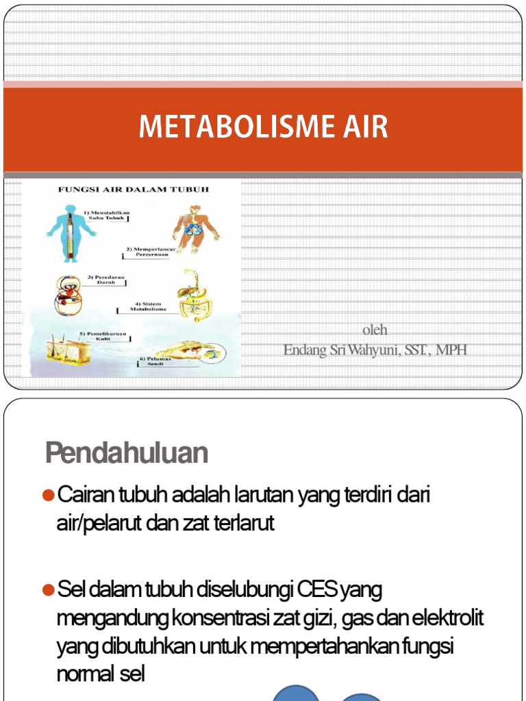 Biokimia Metabolisme Air 23 | PDF