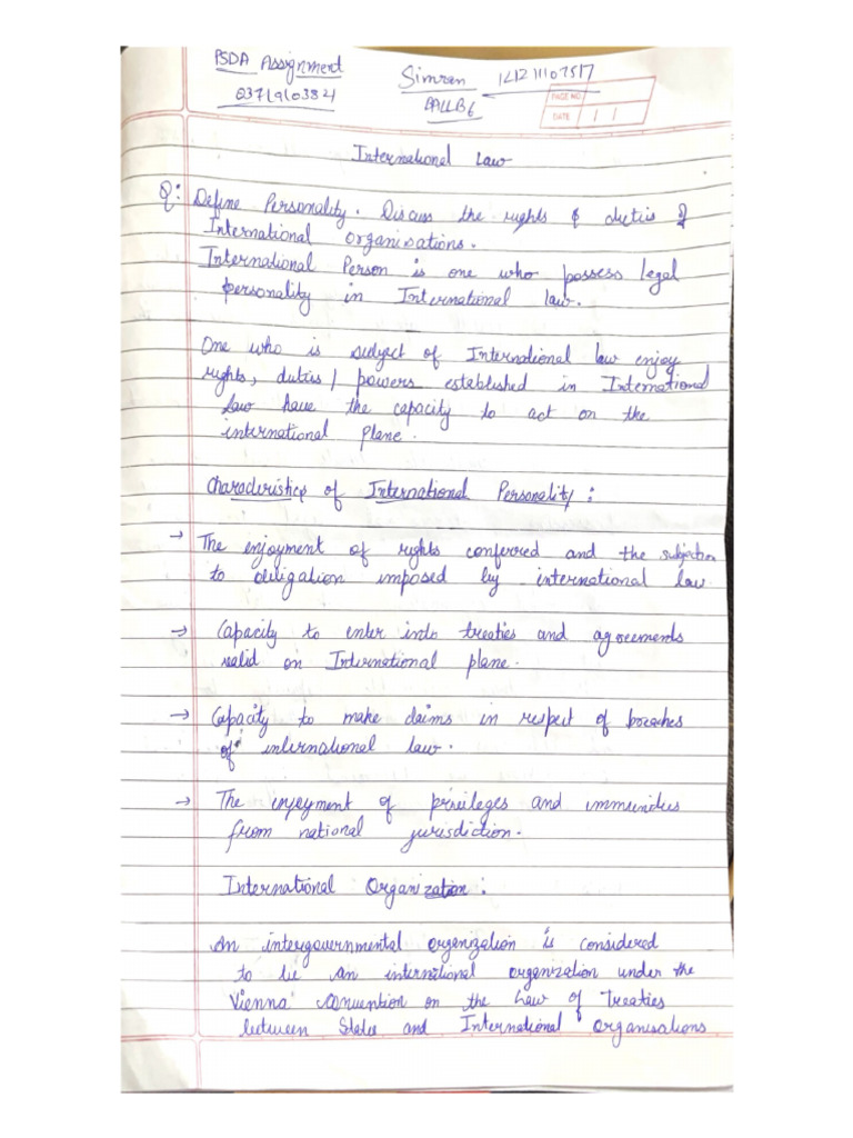 International Law Assignment | PDF