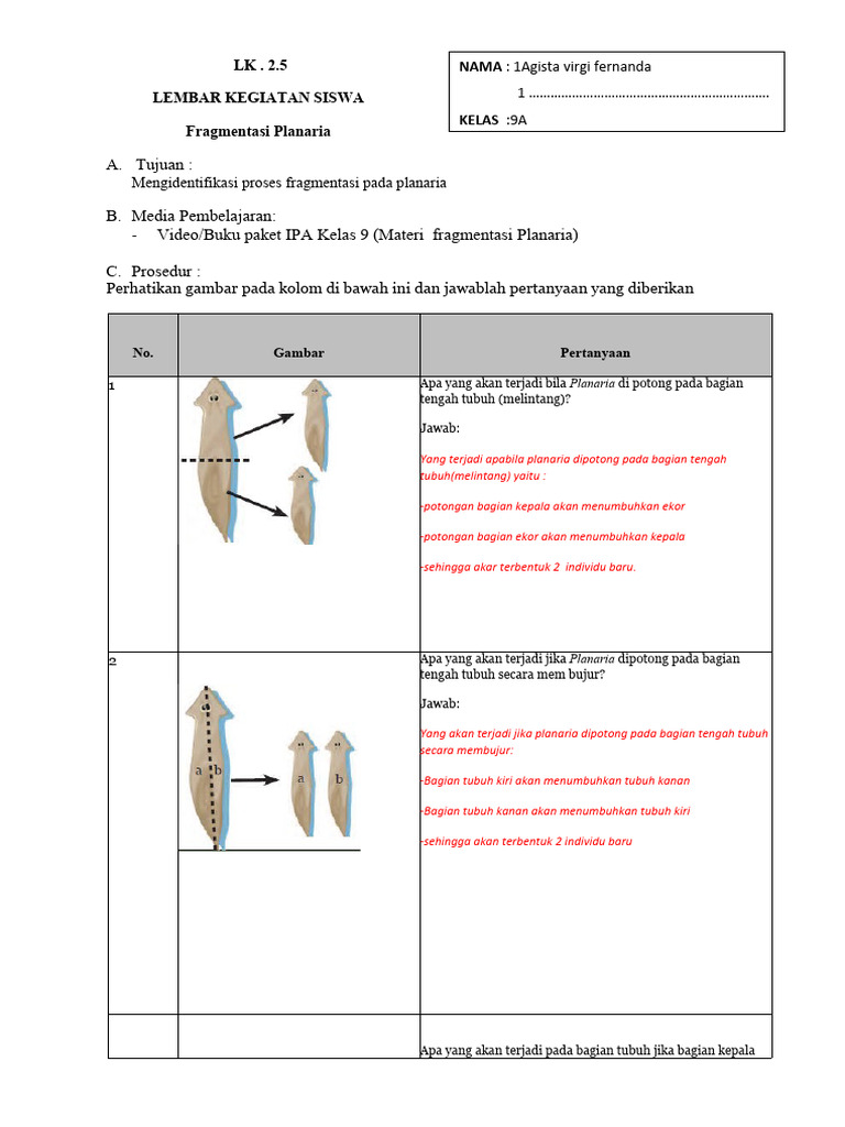 Fragmentasi Planaria: Proses dan Pertanyaan | PDF | Pengembangan Diri ...
