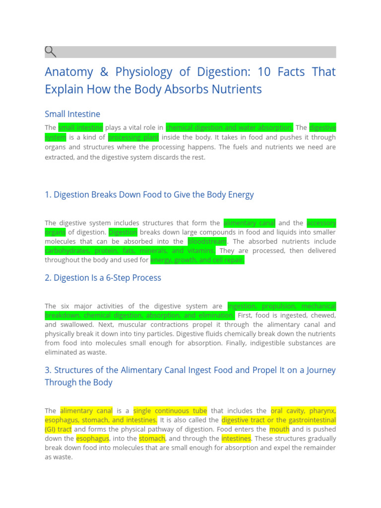 Visible Body Digestive | PDF | Digestion | Gastrointestinal Tract