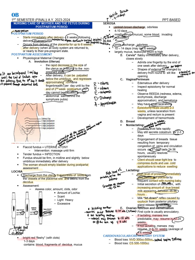 Ob Final | PDF | Lactation | Childbirth