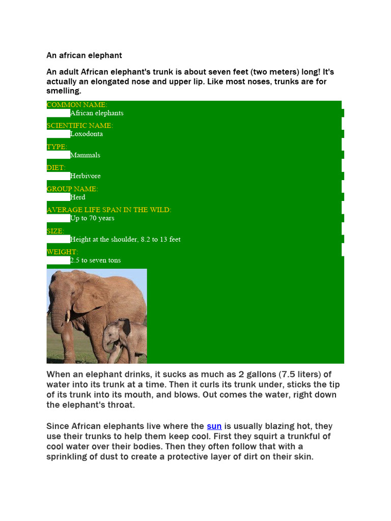 An African Elephant | PDF | Home & Garden | Science & Mathematics