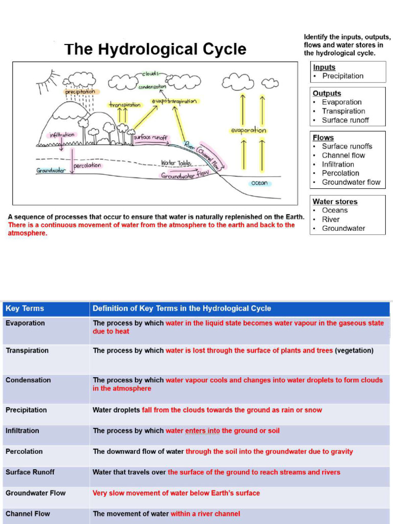 Hydrological Cycle and Its Terms Worksheet | PDF