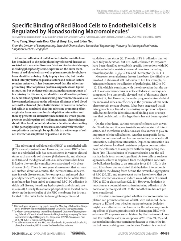Specific Binding of RBC To EC Is Regulated by Nonadsorbing ...