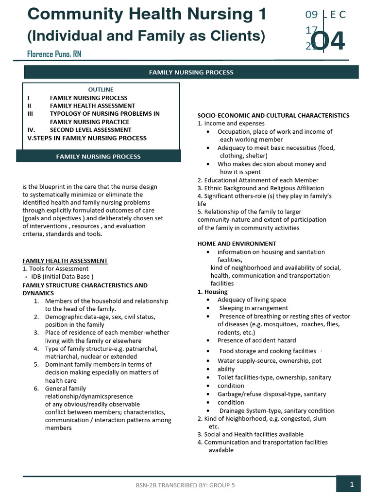 04 - Family - Nursing - Process - CHN Part2-1 | Download Free PDF ...