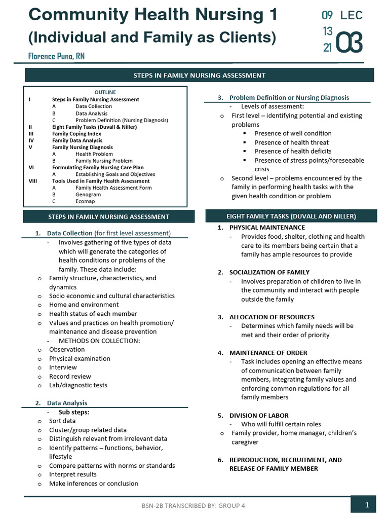 03 Family Nursing Assessment CHN-1 | Download Free PDF | Nursing | Medical Diagnosis