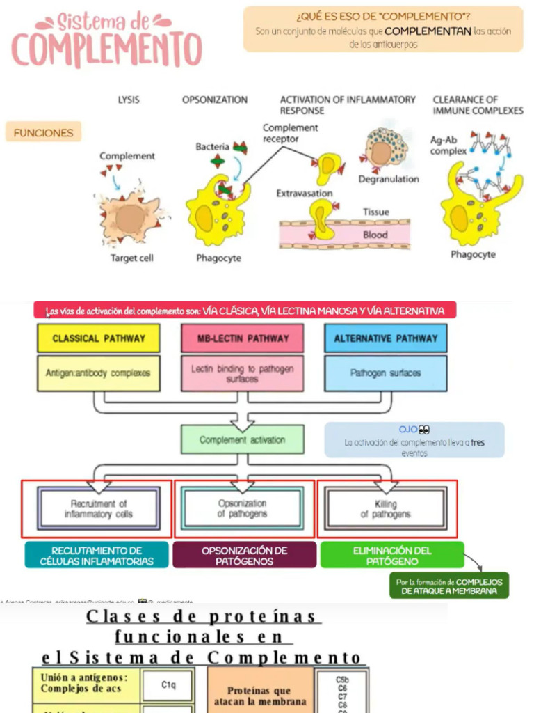 Vía Del Complemento Tutoría | PDF