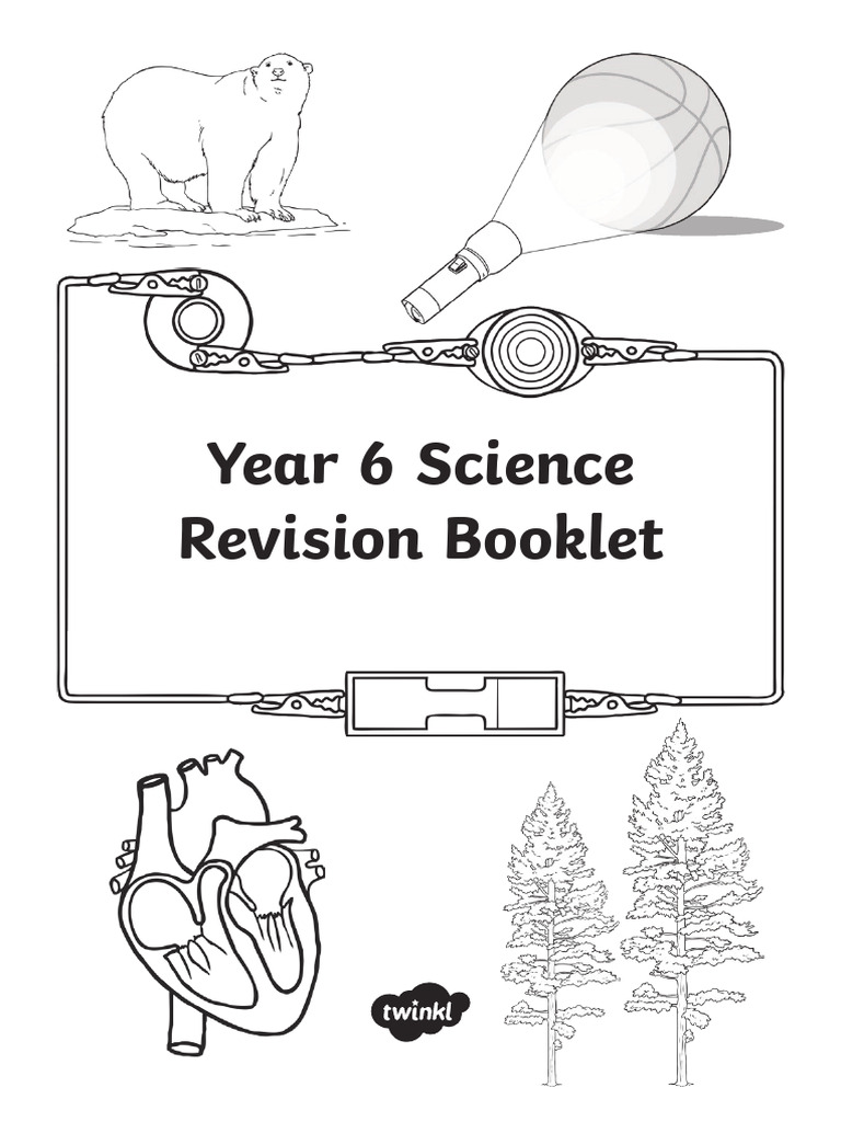 Year 6 Science Revision Guide | PDF | Artery | Blood