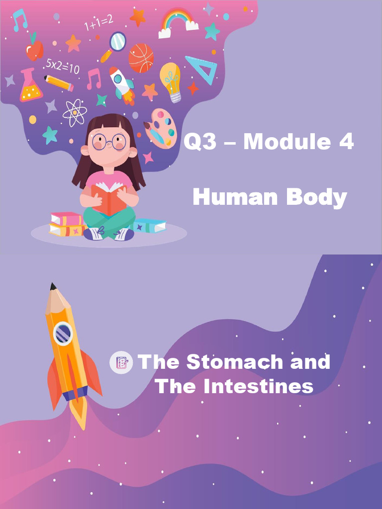 The Stomach and Intestines For Kids | PDF | Digestion | Human Feces