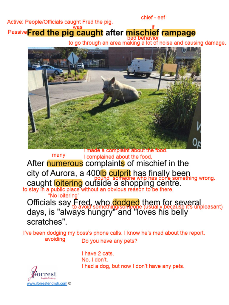 Fred The Pig Caught Article Review by JForrest English | PDF | English ...