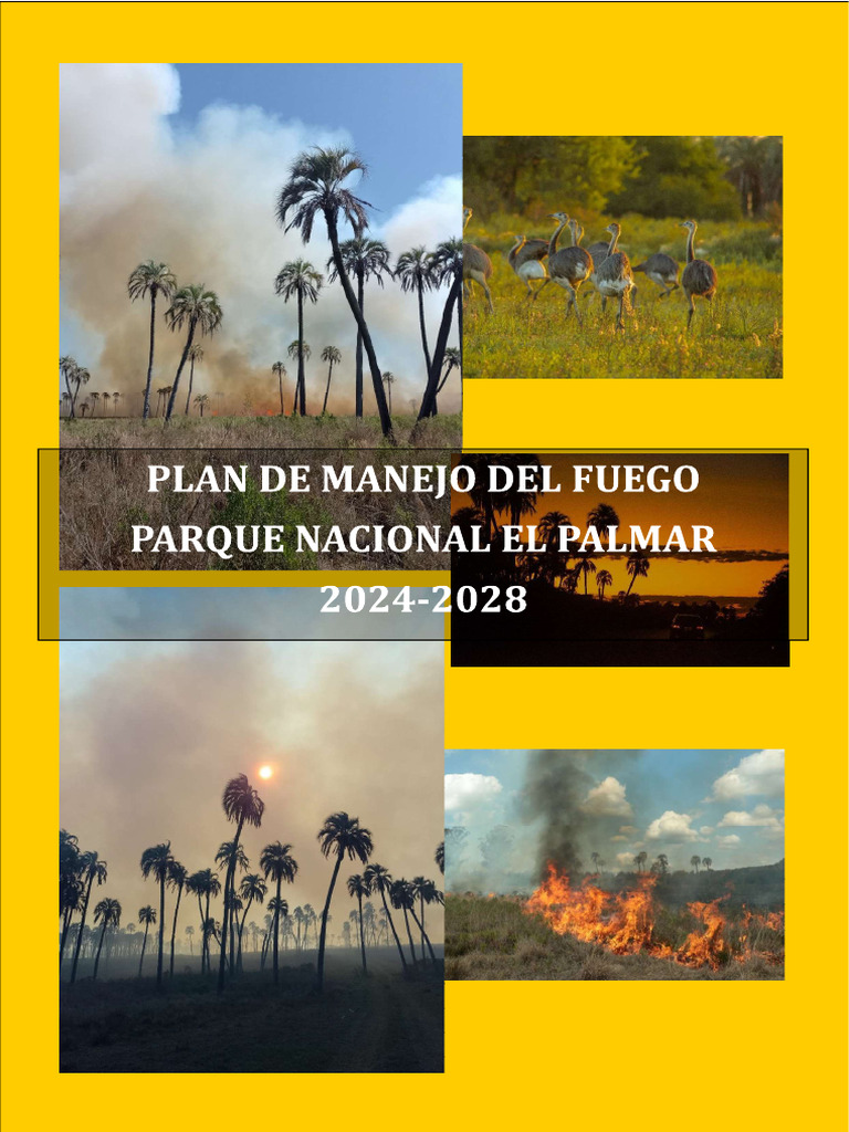 Plan de Manejo Del Fuego PNEP 2024-2028 | PDF