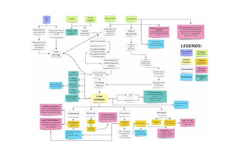 Concept Map Liver Cirrhosis | PDF