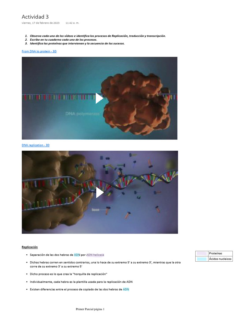 Actividad 3 - Fisiología | PDF | Adn | Replicación De Adn