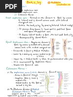 Mink Dissection Anatomy Guide | PDF | Anatomical Terms Of Location ...