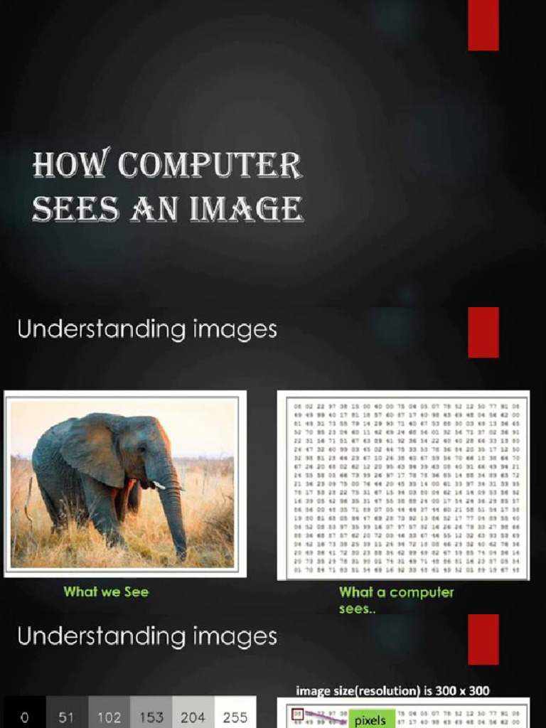 What Is A Digital Image Understanding Images Computer Vision | PDF