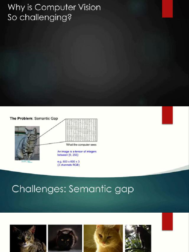 Computer Vision Challenges | PDF