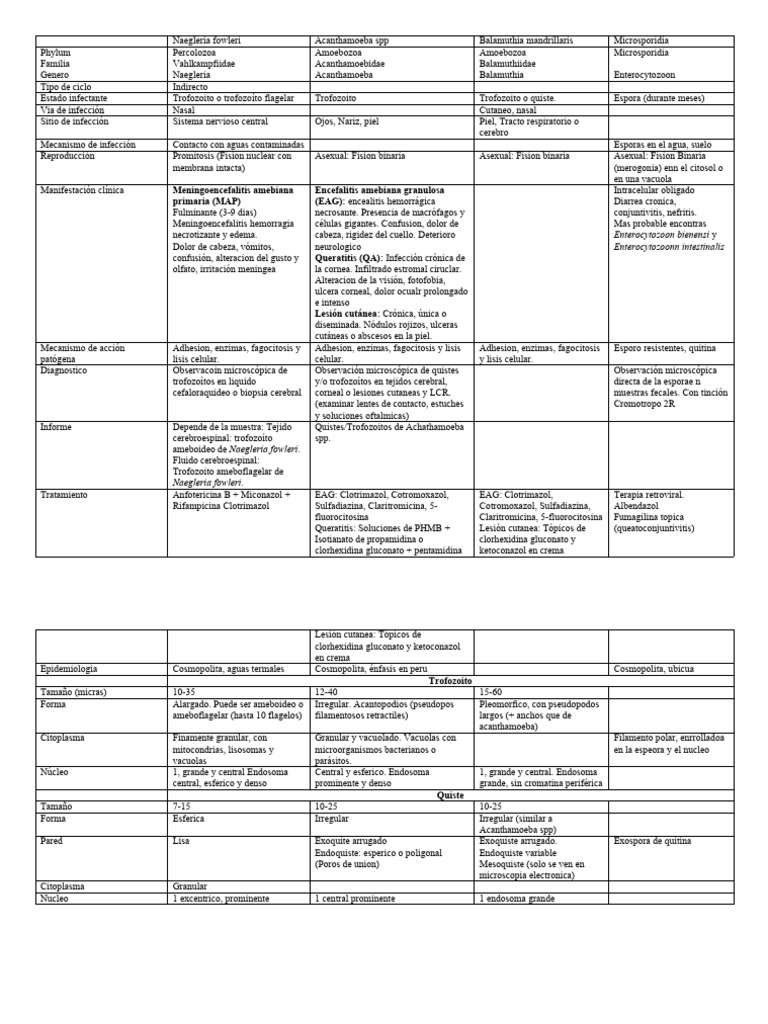 Tabla Resumen Amebas de Vida Libre | PDF | Especialidades Medicas | Medicina CLINICA