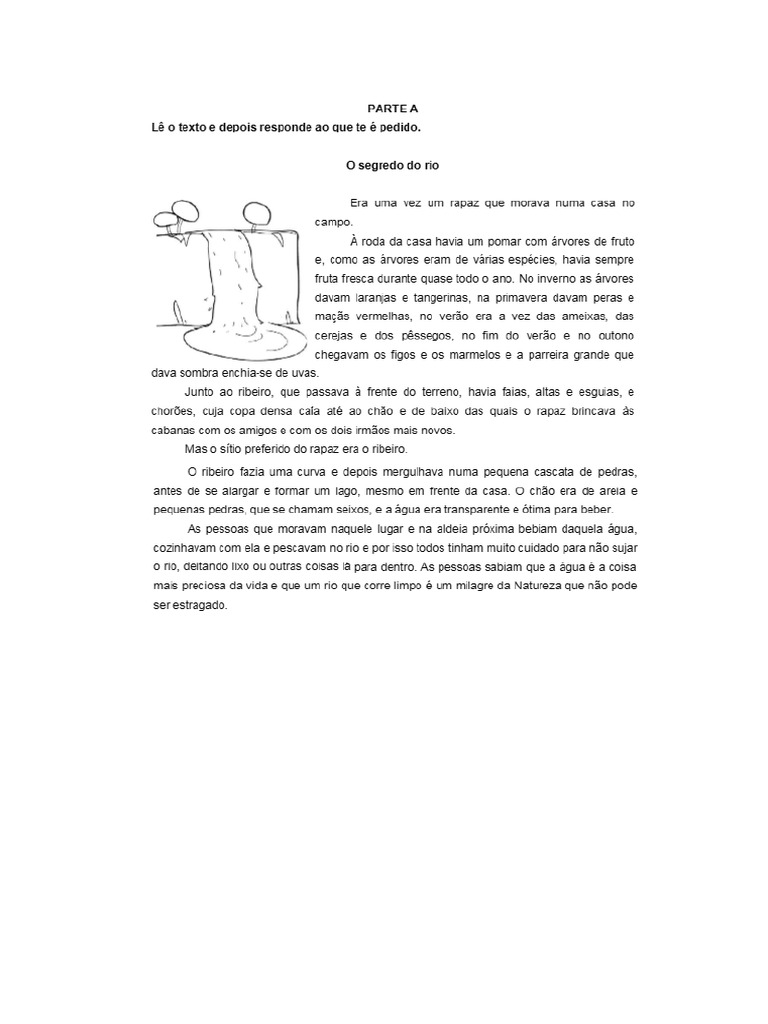 Ficha Texto o Segredo Do Rio | PDF
