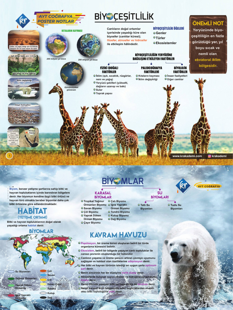 KR Akademi Ayt Cografya Poster Notlari | PDF