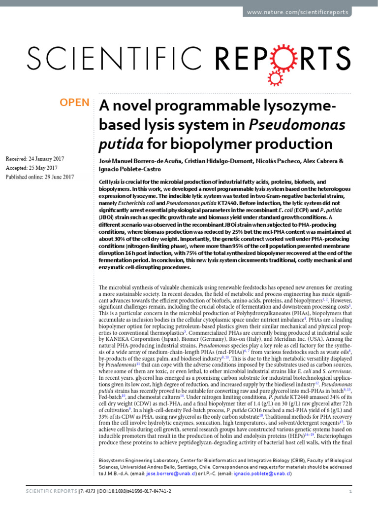 Biopolymer Production Poblete Castro | PDF | Cell Biology | Biology