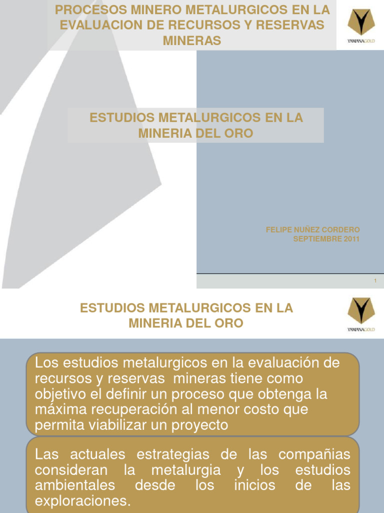 Procesos Minero Metalurgicos en La Evaluacion de Recursos y Reservas Mineras Estudios ...